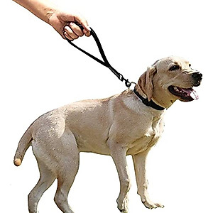 CHMETE Short Dog Leash Heavy Duty Dog Leash with Comfortable Padded Handle Reflective Training Dog leashes for Medium Large Dogs Up to 80lbs