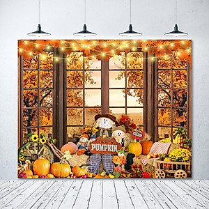 Fall Thanksgiving Backdrops for Photography Pumpkin Fall Window Photo Backdrop Scarecrow Maple Leaves Background Autumn Harvest Party Decorations Background Baby Shower Party Banner Photo Props 10x8ft