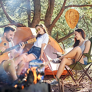 DECYOOL 2 Pack Wasp Nest Decoy Wasp for Hornets Yellow Jackets Outdoor Waterproof Material (Dark Color)