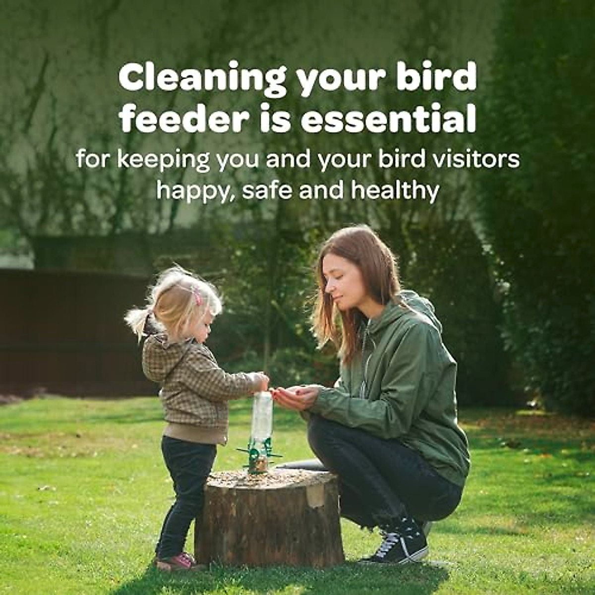 Kaytee Wild Bird Seed & Mealworm Seed Cake Food For Bluebirds, Chickadees, Woodpeckers and More, 1.4 Pound