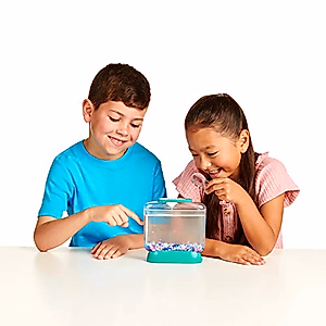Little Live Aqua Dragons - Deep Sea Habitat - LED Light Up Tank Hatch and Grow Aquatic Pets