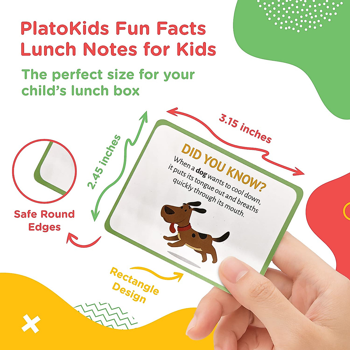 Lunch Box Notes for Kids – Pack of 60 Educational Lunch Box Notes - Lunch Notes Learning Flash Cards Kindergarten or School - School Lunch Accessories for Kids - Fun Facts Series 3