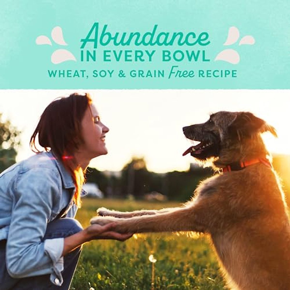 Natural Balance Original Ultra Grain-Free Chicken | All Life Stages Dry Dog Food | 24-lb. Bag