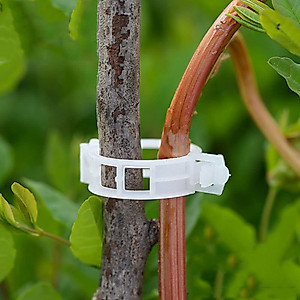 JFDWOPHT 100 Pieces White Plastic Plant Support Clips, Plant Vine Fixed Support Clips, Garden Tomato Plant Support Clips for Plants Stems Support and Vines Grow Upright Climbing