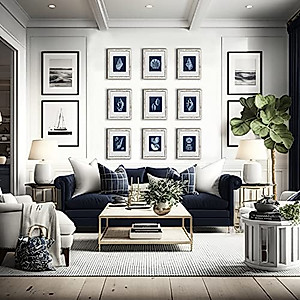 Gnosis Picture Archive Seashells Wall Decor set of 9 Unframed ArtPrints, Navy Blue and White Coastal Wall Decor, Hamptons Style, Coastal Grandma Home Decor Gift