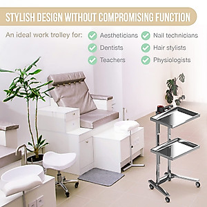 Multifunctional 2-Tray Utility Cart on Wheels - Stainless Steel 2-Level Medical Trolley Cart - Mobile Storage Tray Cart for Dental Tools, Cavitation Machine, Salon Supplies - Foldable Storage Trays