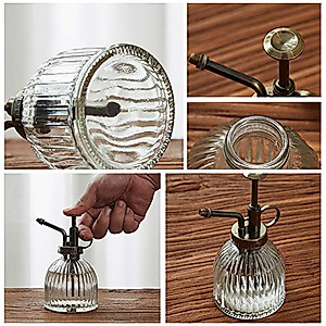 Hovico Glass Plant Mister Spray Bottle, 6.5 Inches Tall Vintage Style Spritzer, Bronze Plastic Top Pump, Watering Glass Spary Bottle Plant Mister Glass Watering Garden Tool(Clear)