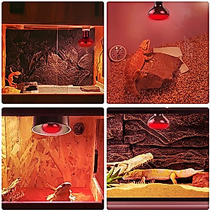 LUCKY HERP 2 Pack 100W Reptile Heat Lamp Bulb, Amphibian Infrared Basking Spot Light Bulb for Turtle, Bearded Dragon, Lizard, etc
