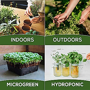 Medicinal and Tea Herb Seeds Collection - Over 4,500 Heirloom and Non GMO Garden Seeds for Planting Indoor, Outdoor & Hydroponic - Includes Basil, Lemon Balm, Chamomile, Lavender, and More