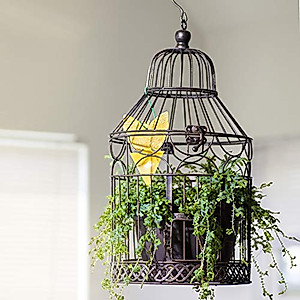 Trappify Sticky Gnat Traps for House Indoor - Yellow Fruit Fly Traps for Indoors/Outdoor Plant - Insect Catcher White Flies, Mosquitos, Fungus Gnat Trap, Flying Insects - Disposable Glue Trapper (12)