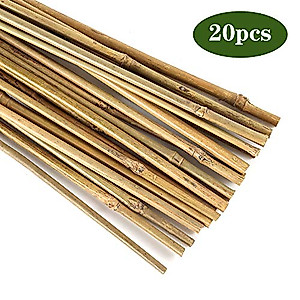 Pllieay 20PC 1.33'/16 Inch Natural Thick Bamboo Stakes Garden Stakes Bamboo Sticks Plant Stakes for Outdoor Plants and Indoor Plants, Potted Plants Tomato Plant Support