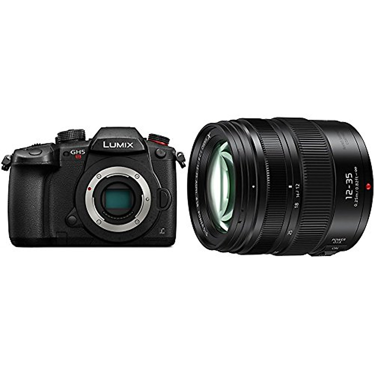 PANASONIC LUMIX GH5s Body C4K Mirrorless Camera & LUMIX G X VARIO II PROFESSIONAL LENS, 12-35MM