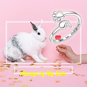 ZGBY Semicolon Ring S925 Sterling Silver Pet Lovers Paw Print Adjustable Ring Sweet Pet Animal Jewelry We are Family Love Dog Cat Claw Ring (Style B)