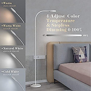 Buluna Floor Lamp for Bedroom with Remote & Touch Control, LED 2500K-6000K 4 Color Temperatures Standing Tall Lamp 360 Degree Adjustable Gooseneck for Living Room Office Reading