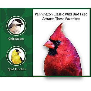 Pennington Classic Wild Bird Feed