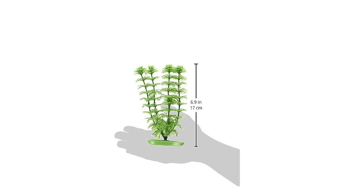 Marina 8-Inch Ambulia Plant for Aquariums