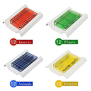 48pcs Kids Prepared Microscope Slides of Animals Insects Plants Flowers Specimens for Kids’ Microscopes