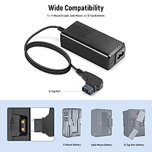 NEEWER D-Tap Battery Charger with 3.3feet/1m D-Tap Cable for V-Mount/V-Lock/Gold Mount Battery, Compatible with NEEWER BP-95W BP-190WS BP-150WS BP-V47 BP-V95 Sony BP-U65 BP-U68 etc.[Output: 16.8V 2A]