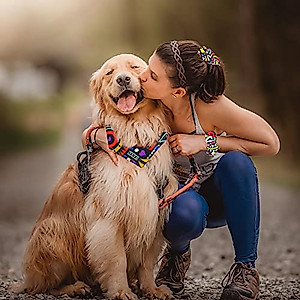 Dog Bandanas for Boy Girl 4PCS Set, Reversible Printing Pet Scarf Cooling Summer Bib Adjustable Accessories Matching Puppy Small Medium Large Dogs Owner Mom