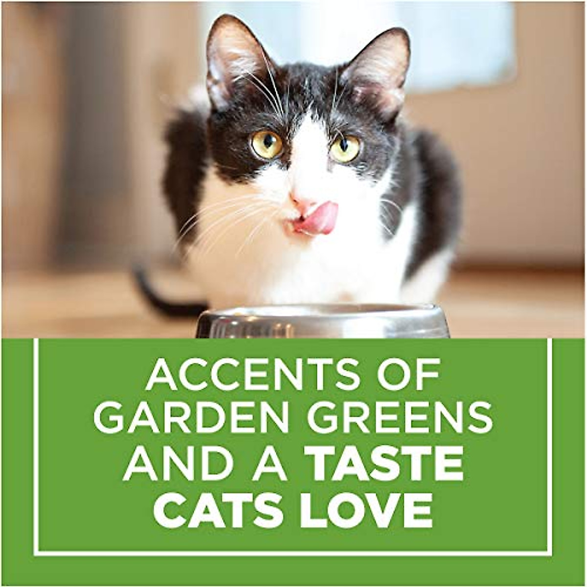 Cat Chow Purina Indoor Cat Chow Cat Food, 18 Oz