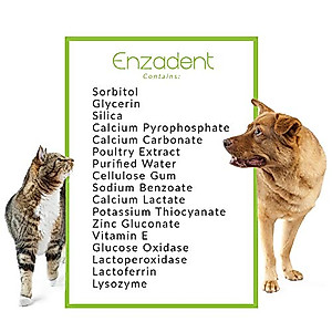 Vetoquinol Enzadent Enzymatic Toothpaste for Cats & Dogs – 3.2 oz, Poultry Flavor – Triple Enzyme Formula for Healthy Teeth & Gums – Oral Dental Care: Removes Plaque, Polishes Teeth & Freshens Breath