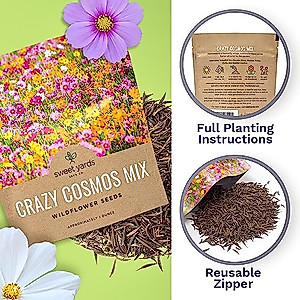 Cosmos Seeds Wildflower Mixture - Bulk 1 Ounce Packet - Over 5,000 Seeds - Pink, Yellow, Orange, Red, Purple and White Mixed Species!