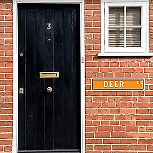 Metal Name Sign Deer Street Sign Street Warning Sign - Heavy Duty Rust-proof Metal Frame, Shipped from USA 4" x 16"