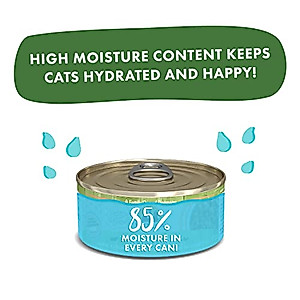 Weruva Classic Cat Stews, Stewy Lewis with Lamb, Chicken & Salmon In Gravy, 5.5oz Can (Pack of 8)