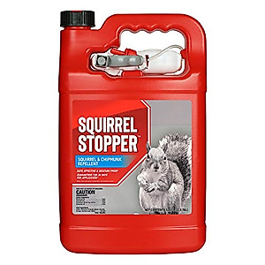 Messina Wildlife Squirrel Stopper - Effective, Food Grade Ingredients; Squirrels and Chipmunks; Ready to Use, 1 Gallon Liquid Refill Bottle