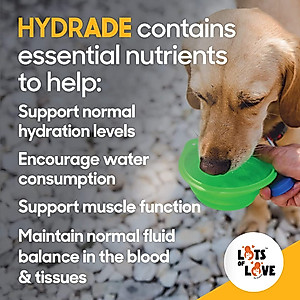 HydrADE Powder - Electrolytes for Dog & Cat Dehydration - Hydration for Dogs & Cats - Lots of Love Pet Products (8 Oz)