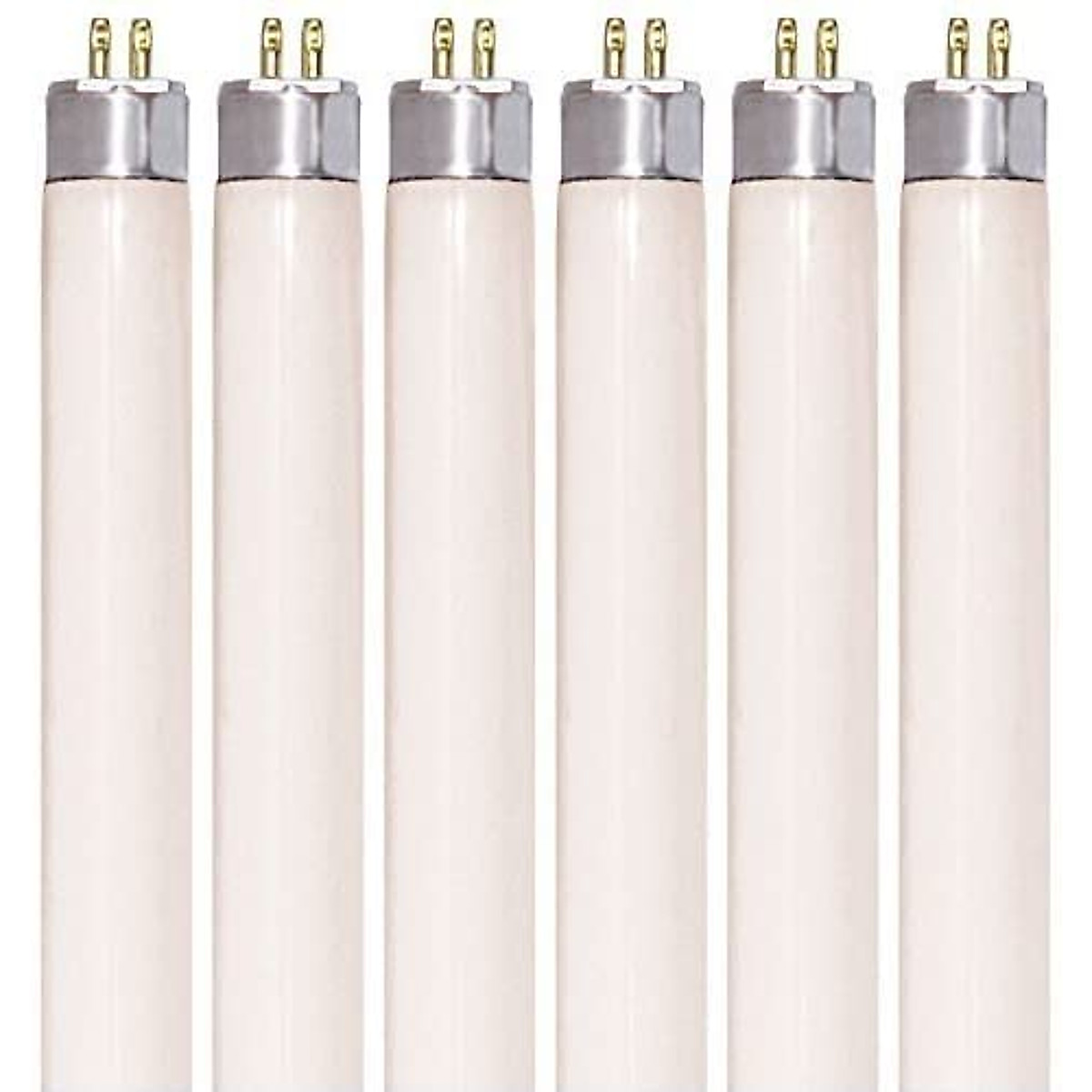 BULBMASTER F8T5 CW Fluorescent Bulbs 12 Inch - F8 T5 8W Cool White 4100K Fluorescent 12" Under Cabinet Light Bulbs Linear T5 380 Lumens - Under The Counter Small Fluorescent Light Bulb - Pack of 6