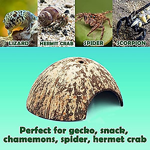 Mr.Peter 2 Pcs. Natural Coconut Shells for Reptile Safe Hideout, Hermit Crabs Hut, Lizard Shell Hut, Spider, Gecko Hids, Snake Hides, Large Aquarium Cave, Betta Fish Hide Cave, Leopard Gecko Tank