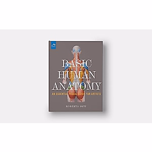 Basic Human Anatomy: An Essential Visual Guide for Artists