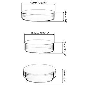 QWORK Glass Petri Dish Petri Plates with Lid, Thicken, 60mm x 18mm, 5 Pack