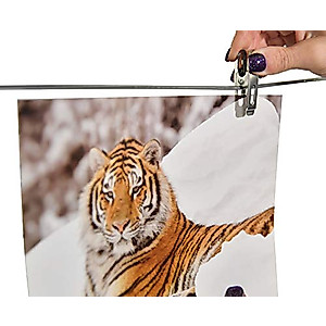 Home-X 10 Pack Stainless Steel Clothespin & Utility Clip Multi-Purpose Stainless Steel Clips, Cord Clothes Pins Utility Clips Clamps Darkroom Photoclips-1.5 Inch