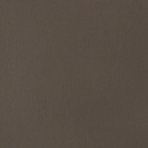 Liquitex BASICS Acrylic Fluid Paint, 118ml (4-oz) Bottle, Raw Umber