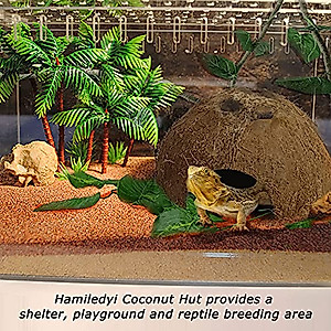 Hamiledyi Reptile Hideouts Natural Coconut Shells Hut Small Animal Hide Cave Hermit Crab Climbing Toys Lizard Habitat Decor Plant Leaves Decoration for Gecko Spider Snake Chameleon (4Pcs)
