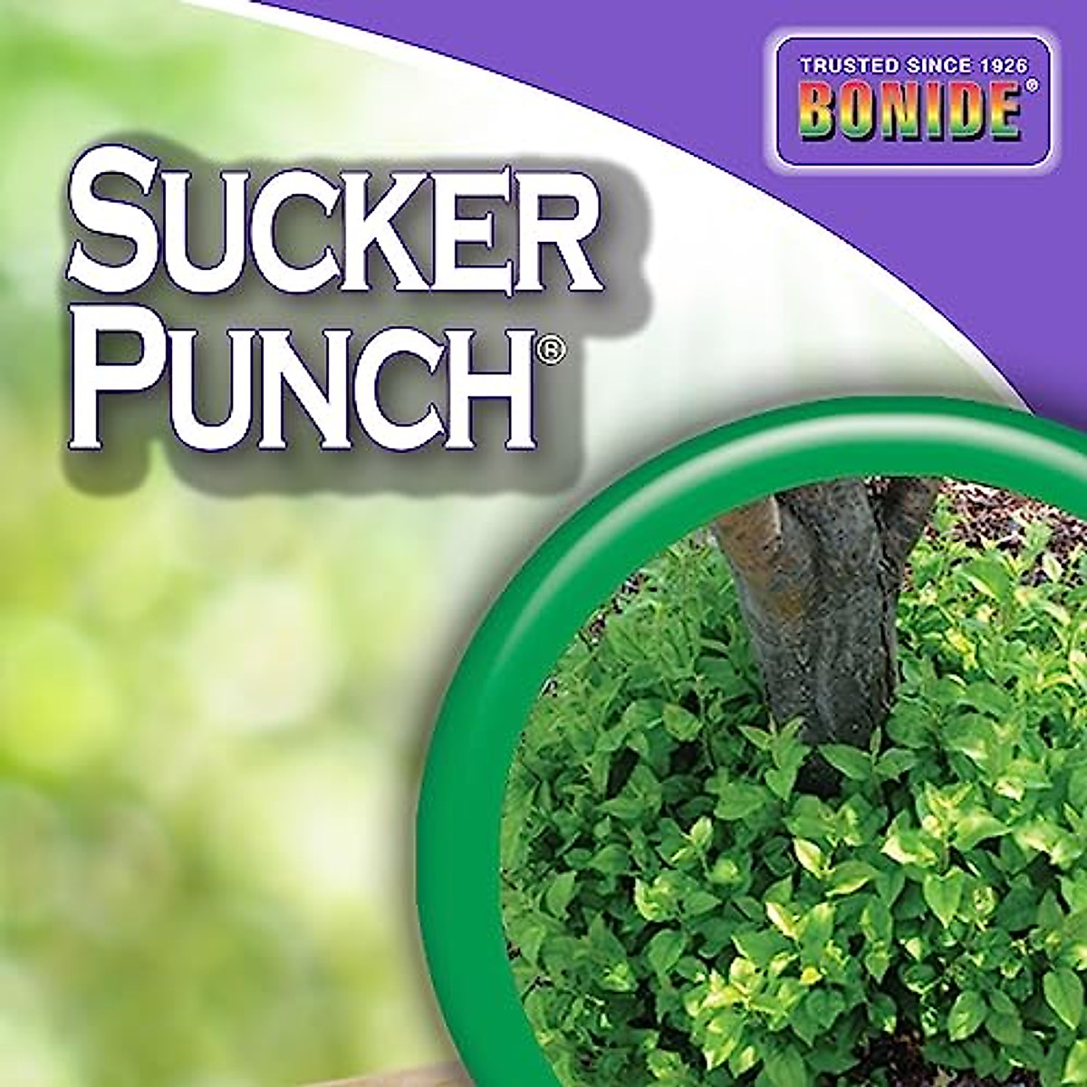 Bonide Sucker Punch, 16 oz Ready-to-Use Spray, Control Unwanted Plant Sprouts, Plant Growth Regulator for Home Garden