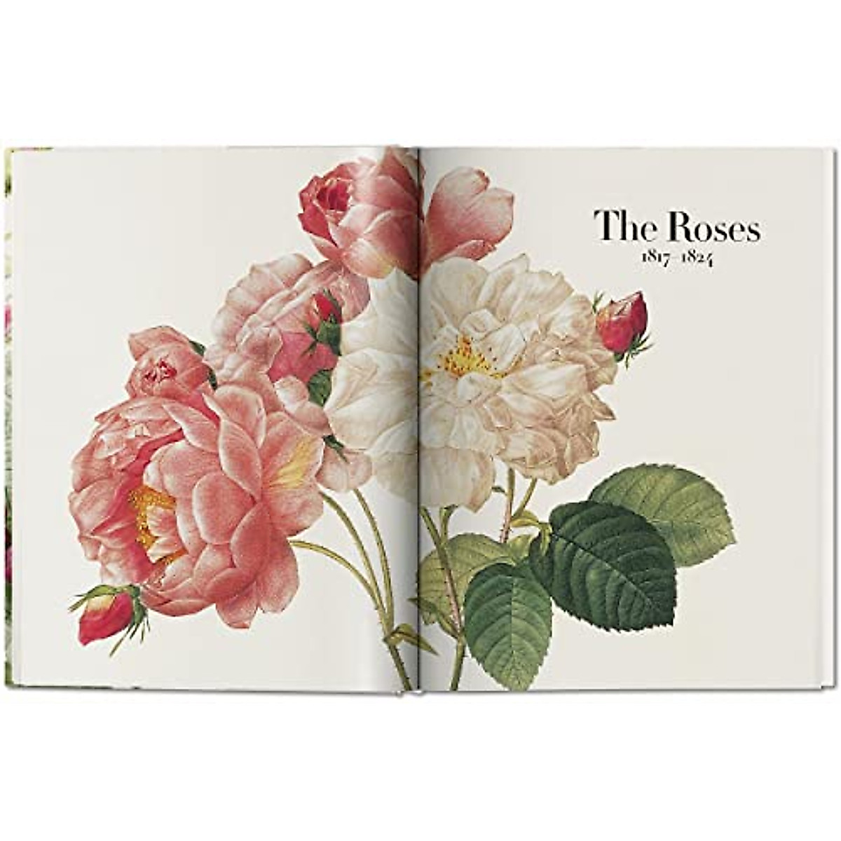 Redouté: The Book of Flowers / Das Buch de Blumen / Le livre des fleurs
