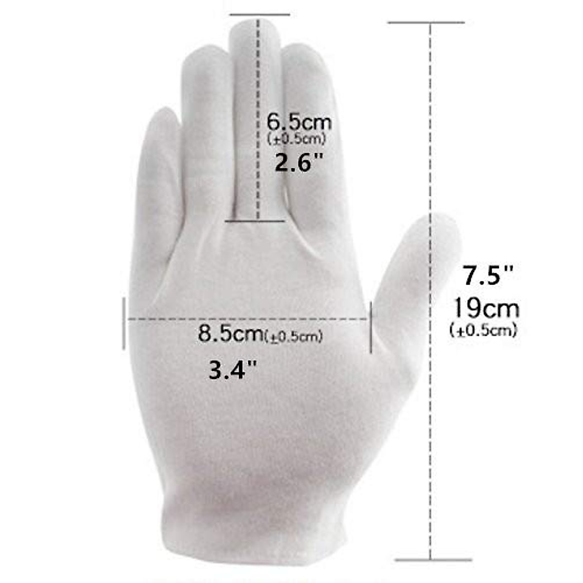 8 Pairs White Cotton Gloves 7.5" Medium Size，ZL&D, film, coins, CD/DVD, Handling Gloves