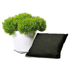 Ever Bamboo Room Deodorizer & Dehumidifier w/All Natural Bamboo Charcoal (200 g). Has a Sneaky Stink Come to Stay in Your Room? Show it Out with Ever Bamboo!