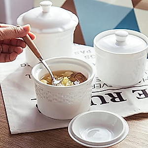 Operitacx Ceramic Stew Pot with Lid and Spoon Japanese Small Steam Soup Bowl Steaming Cup Serving Dish Seasoning Jar for Cereal Rice Chili Beef Stew Medicinal Birds Nest Egg Custard Appetizer