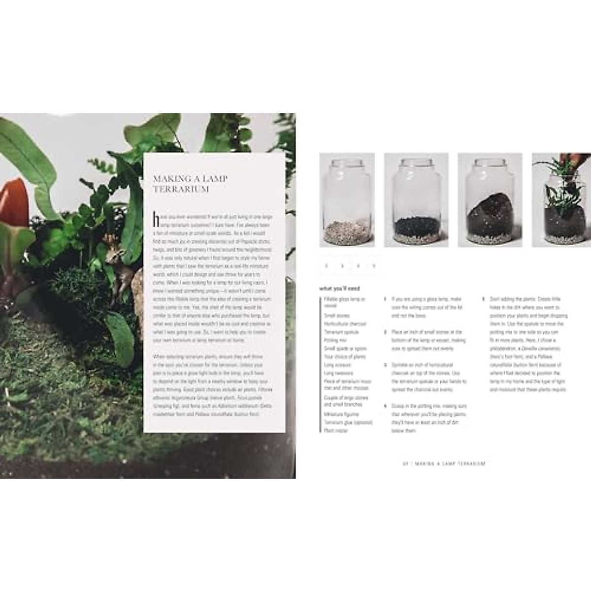 Wild at Home: How to style and care for beautiful plants