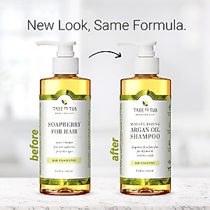 Tree to Tub Fragrance Free Shampoo for Dry & Sensitive Scalp - Gentle Unscented Hydrating Hair Shampoo for Women & Men, Moisturizing Sulfate Free Shampoo w/Organic Argan Oil, All Natural Soapberry