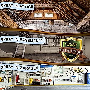 Mice & Rat Repellent. Peppermint Repellent for Mice/Mouse, Rats & Rodents. Natural Spray for Indoor & Outdoor Use. 128 OZ Gallon Trigger Sprayer Ready to Use