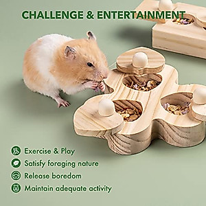 MEWOOFUN Guinea Pig Toys Hamster Toys Interactive Foraging Toys, Interactive Hide Treats for Small Animals,Foraging Puzzle for Hamster, Guinea Pig, Rabbit, Chinchilla, Bunny