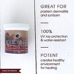 EQUIDERMA Zinc Paste