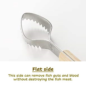 Kanda Fish Scaler Remover Tool Scraper 2Way Fast Cleaning Fish Skin, Stainless Steel with Wooden Handle, Easy and No Mess, Made in Japan