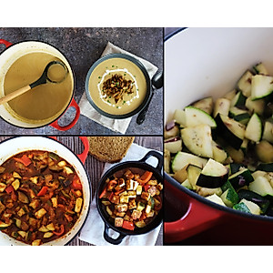 Dutch Oven Enameled Cast Iron Pot - Cocotte with Dual Handle and Cover Casserole Dish - Round Red 10.23" (26 cm)