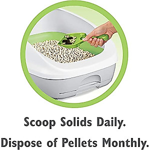 (2 Pack) Tidy Cat Breeze Pellets, 3.5 lbs with Aurora Pet Wipes